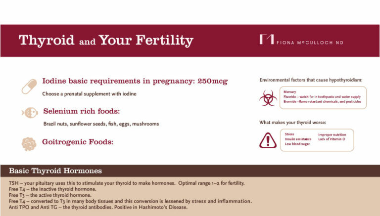 Thyroid and Fertility, Thyroid and Pregnancy | Infographic - Dr Fiona ND